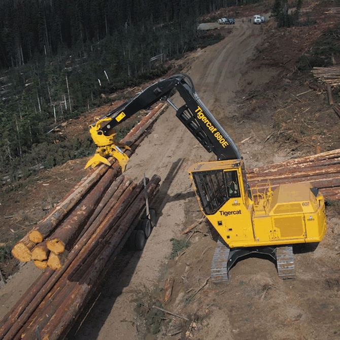 Forestry - CablePrice New Zealand Ltd